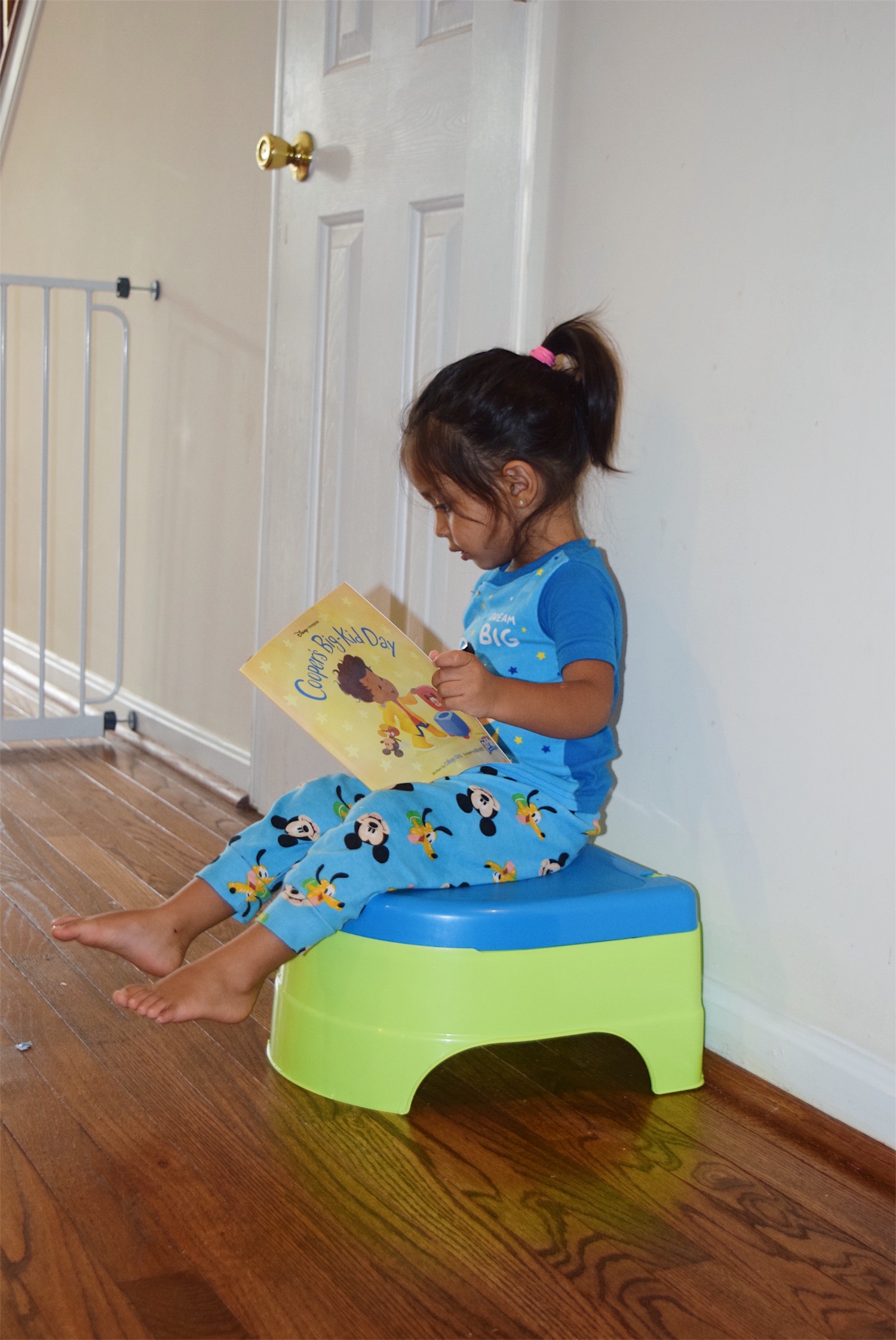 How to Potty Train your 18-24 Month Old - The Hady Life